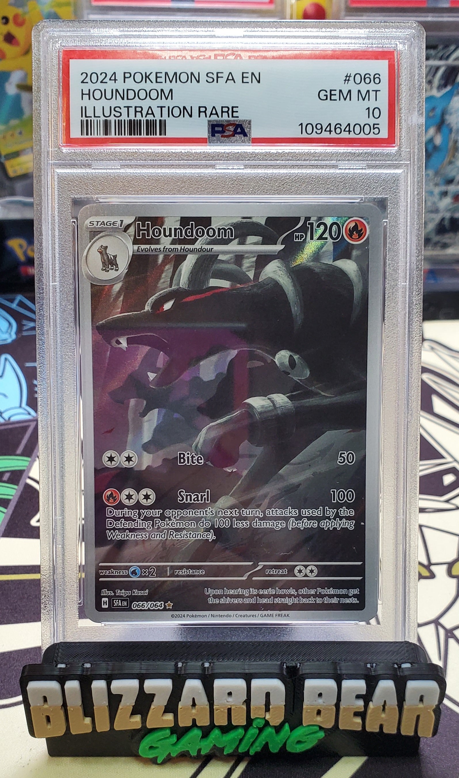 Graded Slabs – Blizzard Bear Gaming